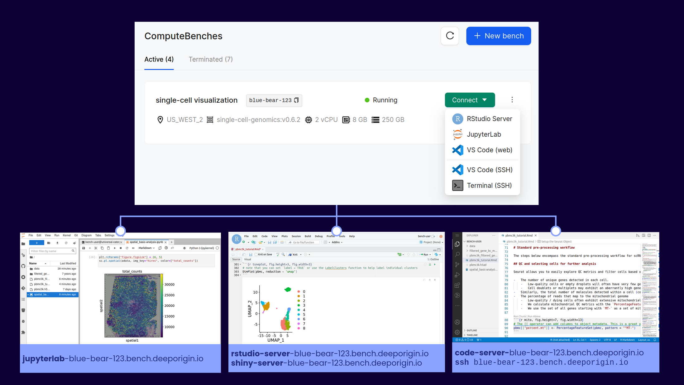 Introducing the ComputeBench: the cloud development environment for bioinformatics | Deep Origin